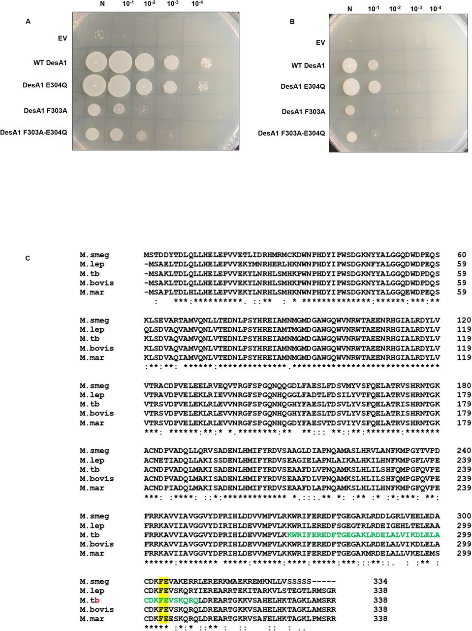 7h10 Agar Plate | Middlebrook Pharmaceuticals | Bioz