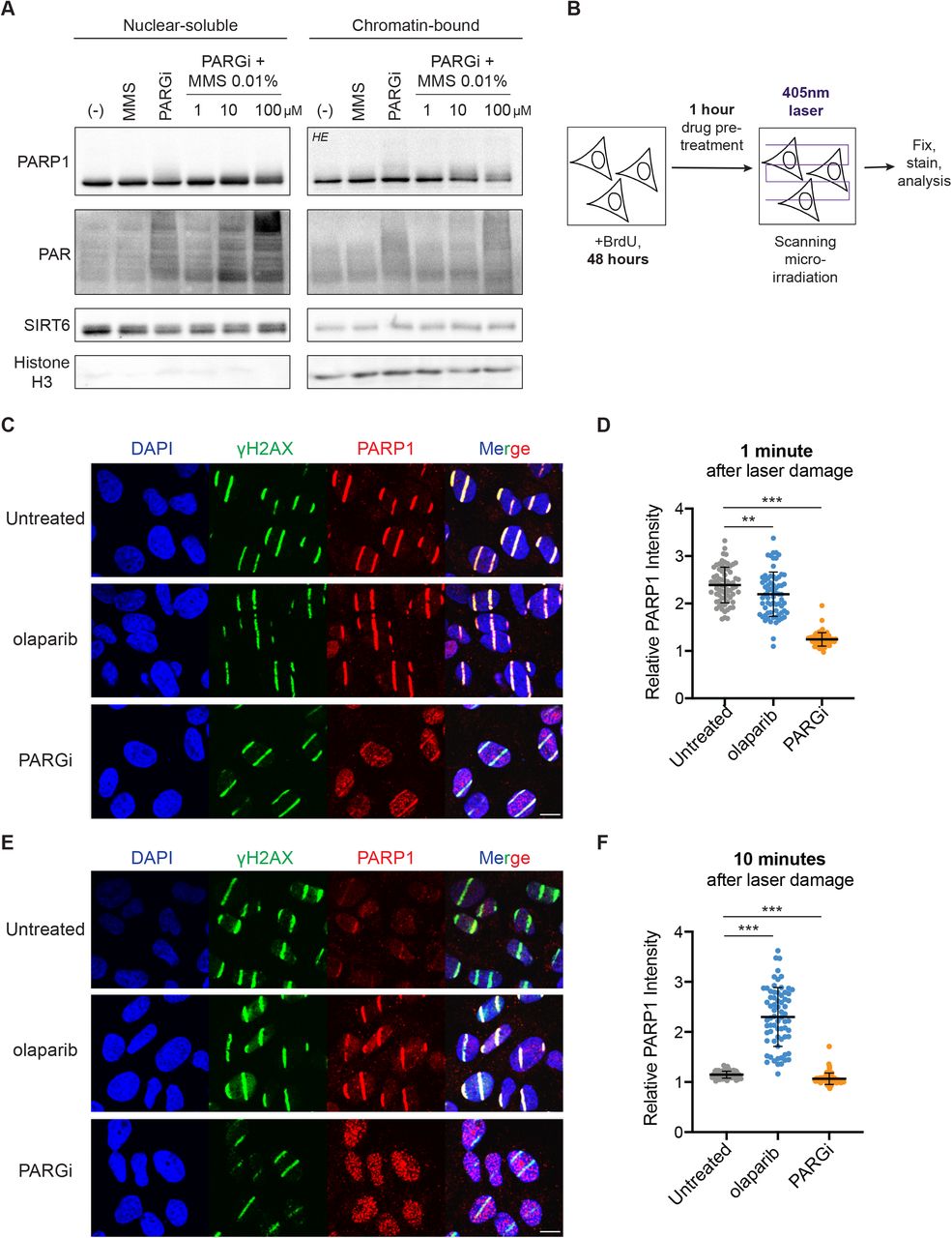 U2os Cells | Horizon Discovery | Bioz