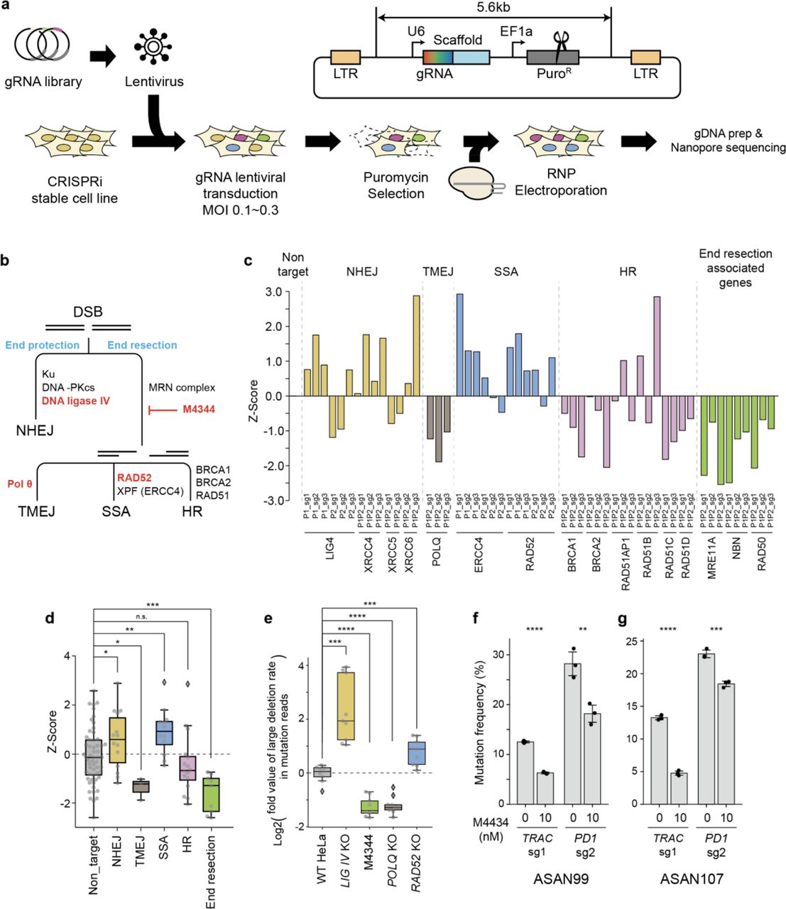 Primary T Cells | Thermo Fisher | Bioz