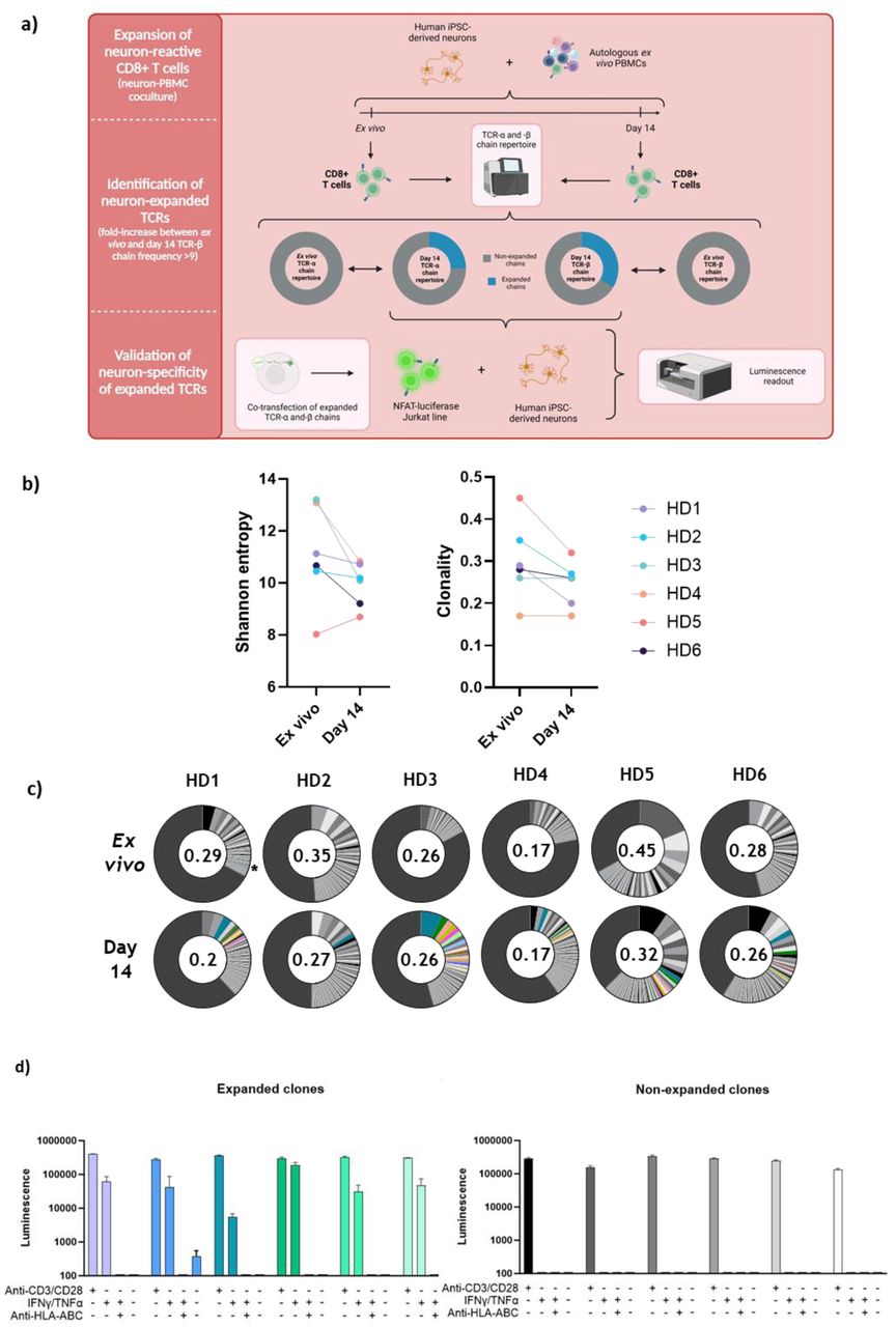 Jurkat | Thermo Fisher | Bioz