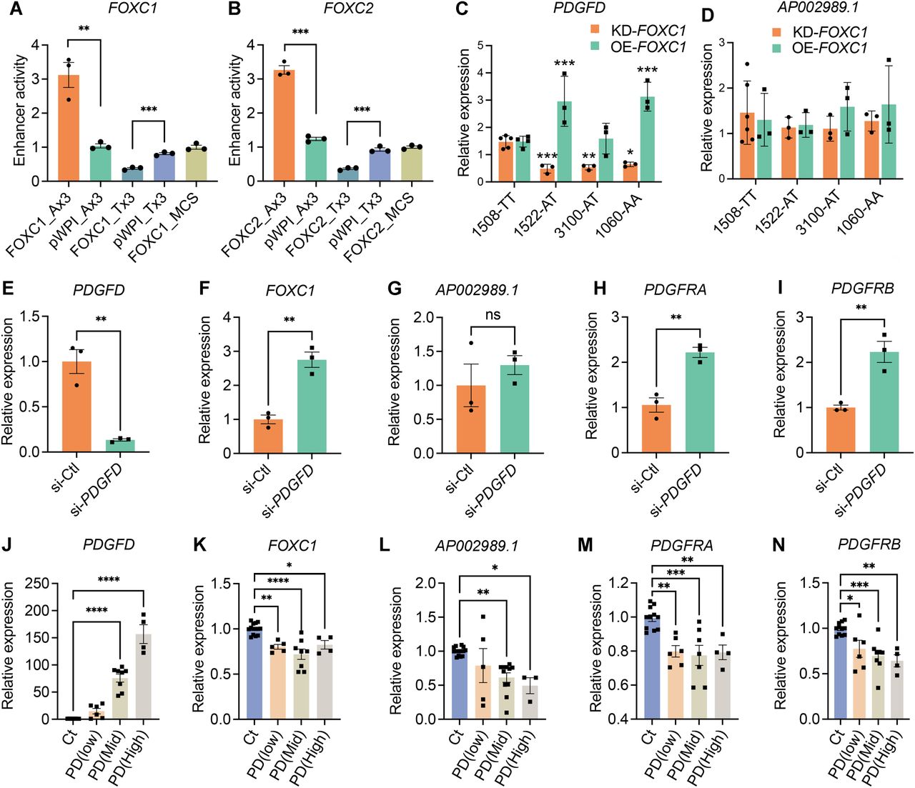 Rat Aortic Smooth Muscle A7r5 Cells | ATCC | Bioz