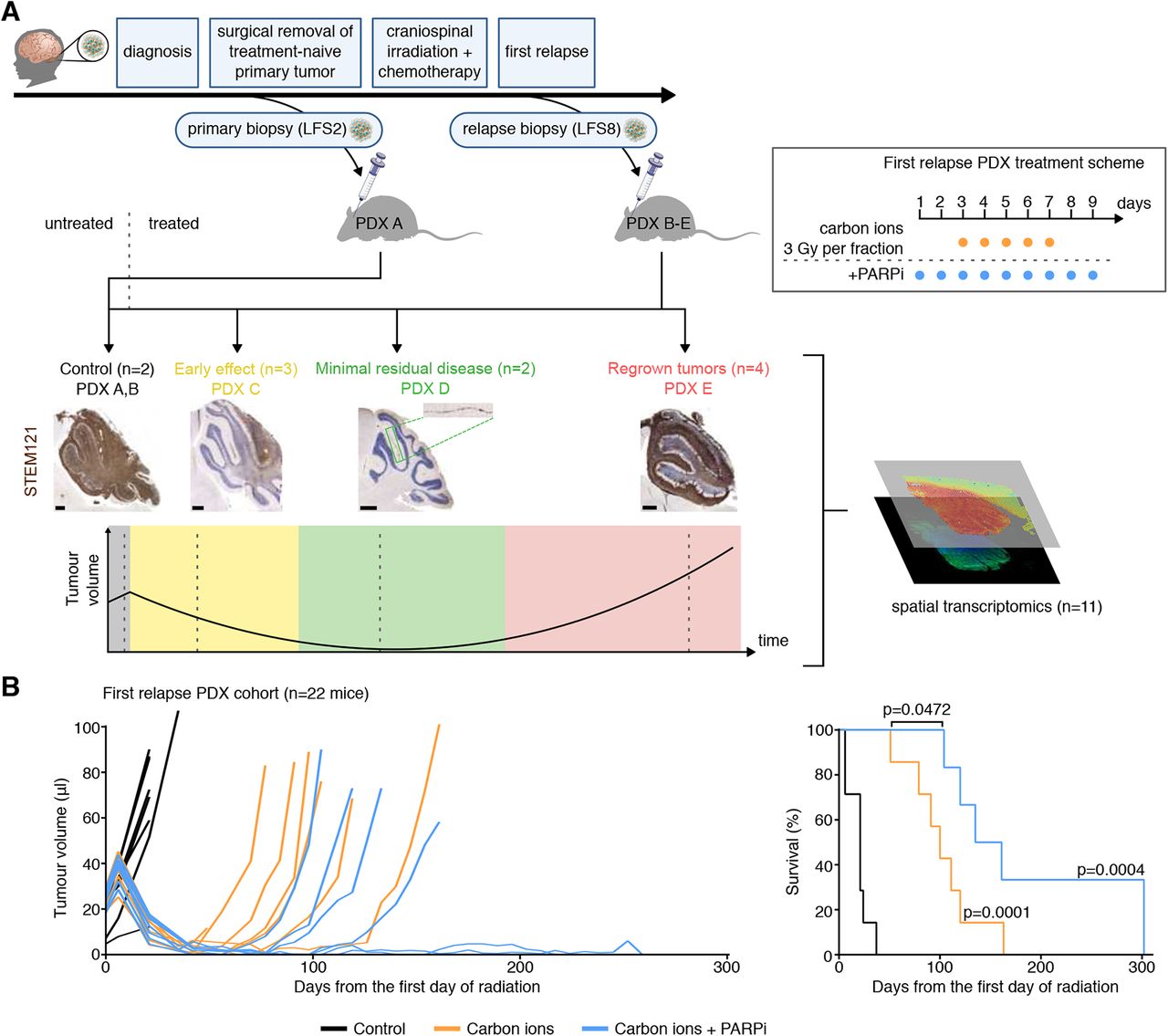 Stem121 | TaKaRa | Bioz