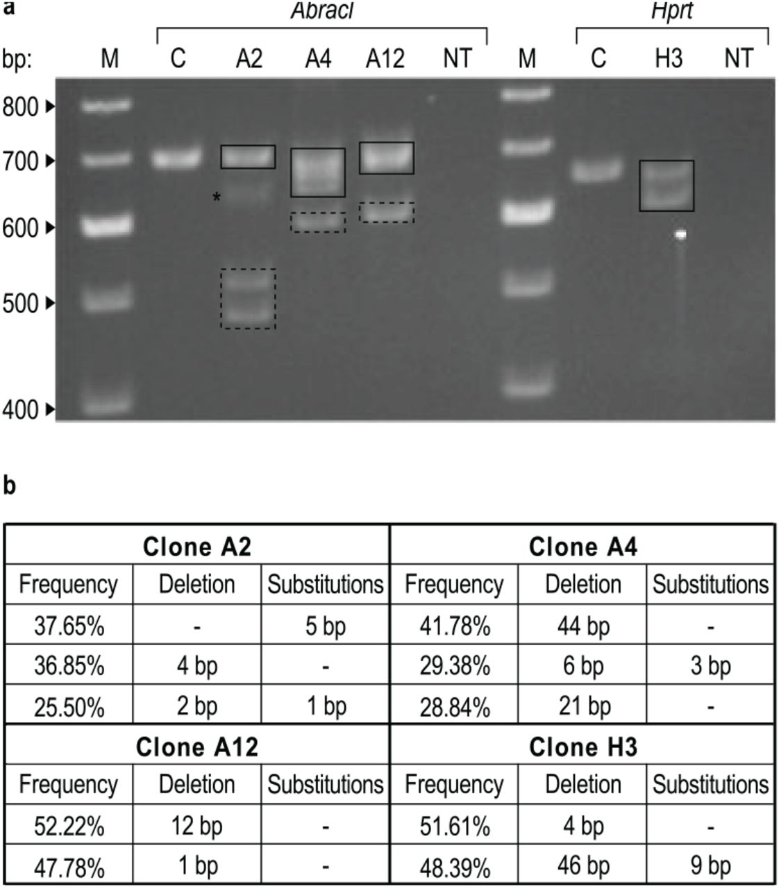 Neuro 2a Cell Line | ATCC | Bioz