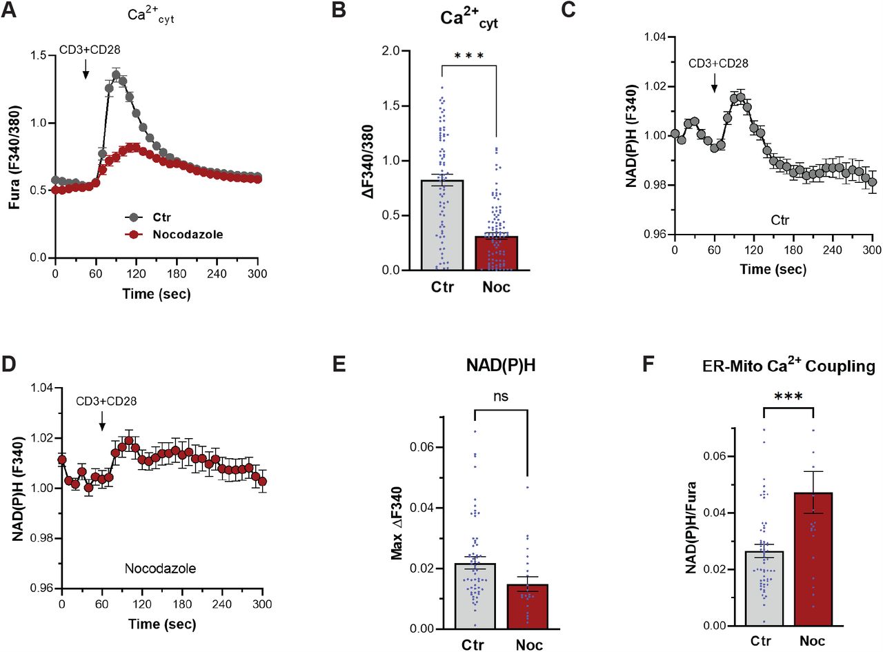 Leaf Purified Anti Human Cd3 | BioLegend | Bioz