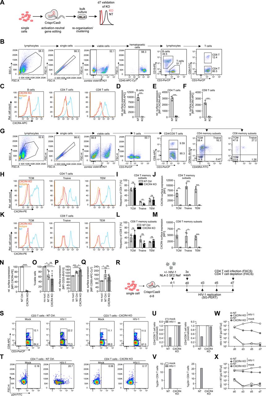 P3 Primary Cell Nucleofection Buffer | Lonza | Bioz
