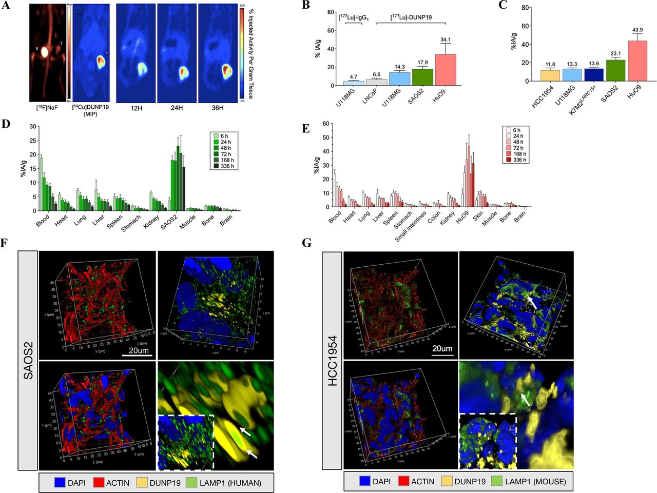 Hcc1954 | Atcc | Bioz