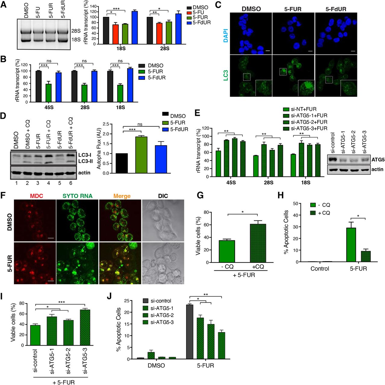 Syto Rna Select | Thermo Fisher | Bioz