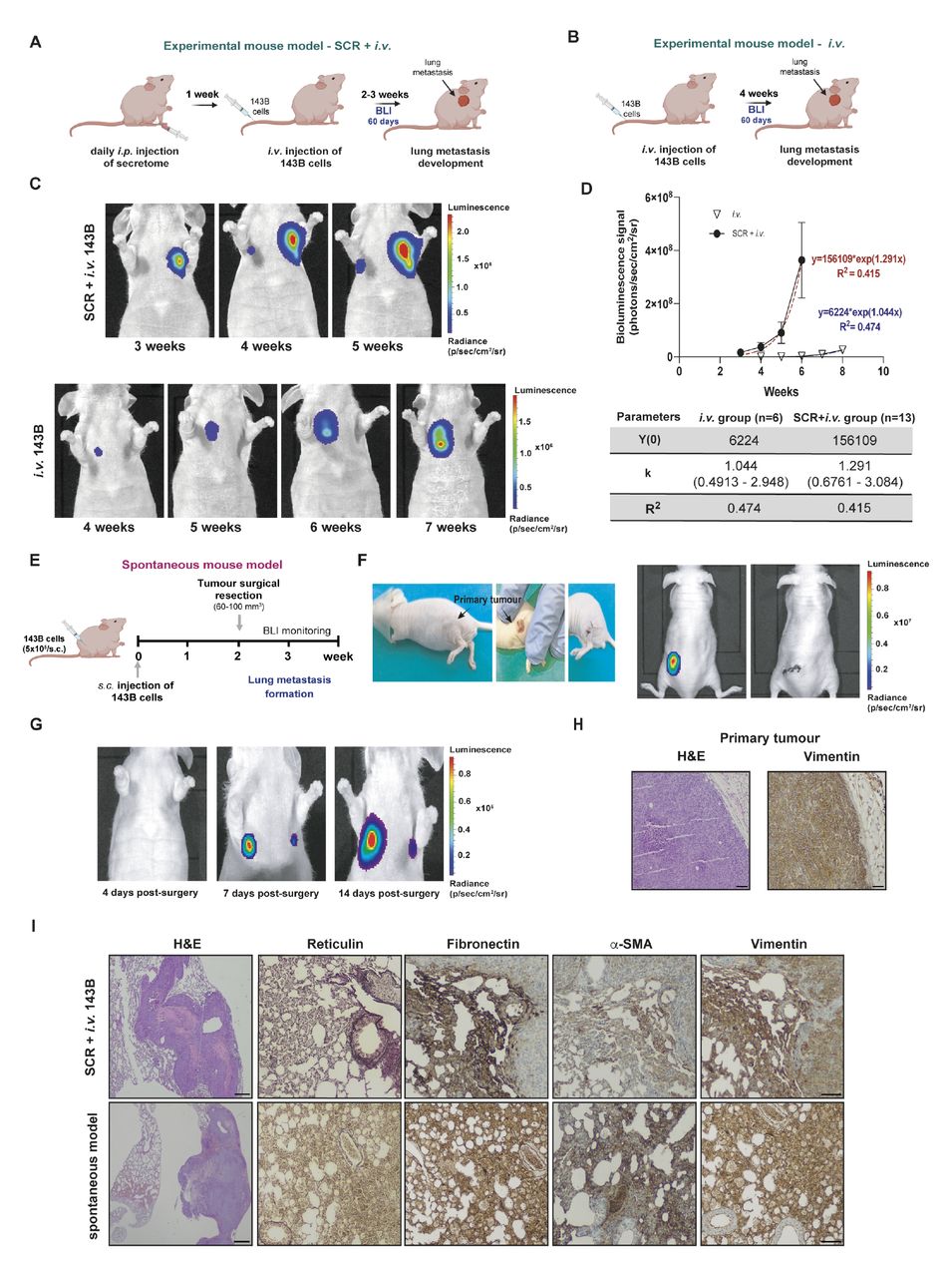 Bioluminescence Imaging Bli | Caliper Life Sciences | Bioz