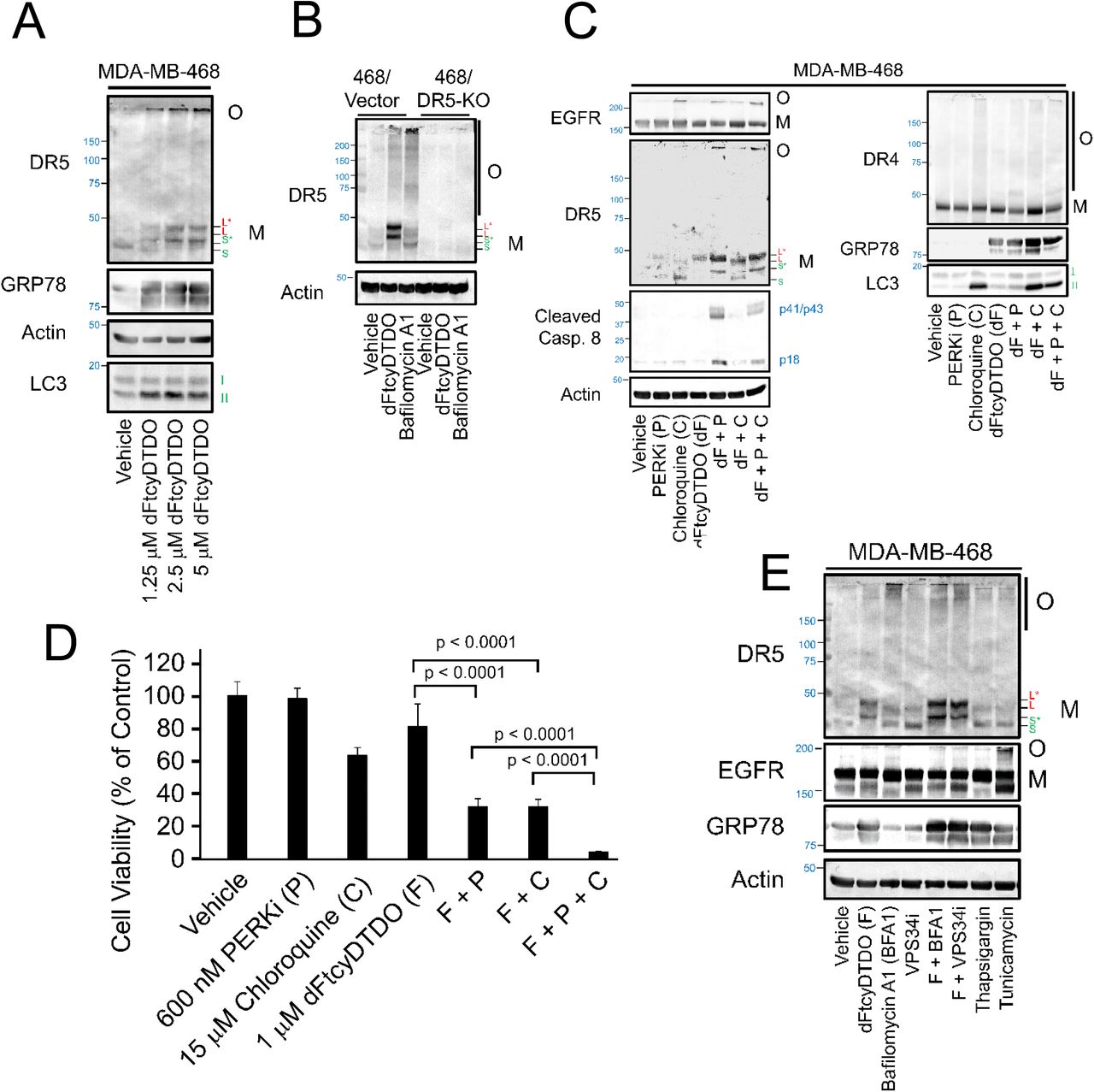 Bafilomycin A1 Bafa1 | Millipore | Bioz