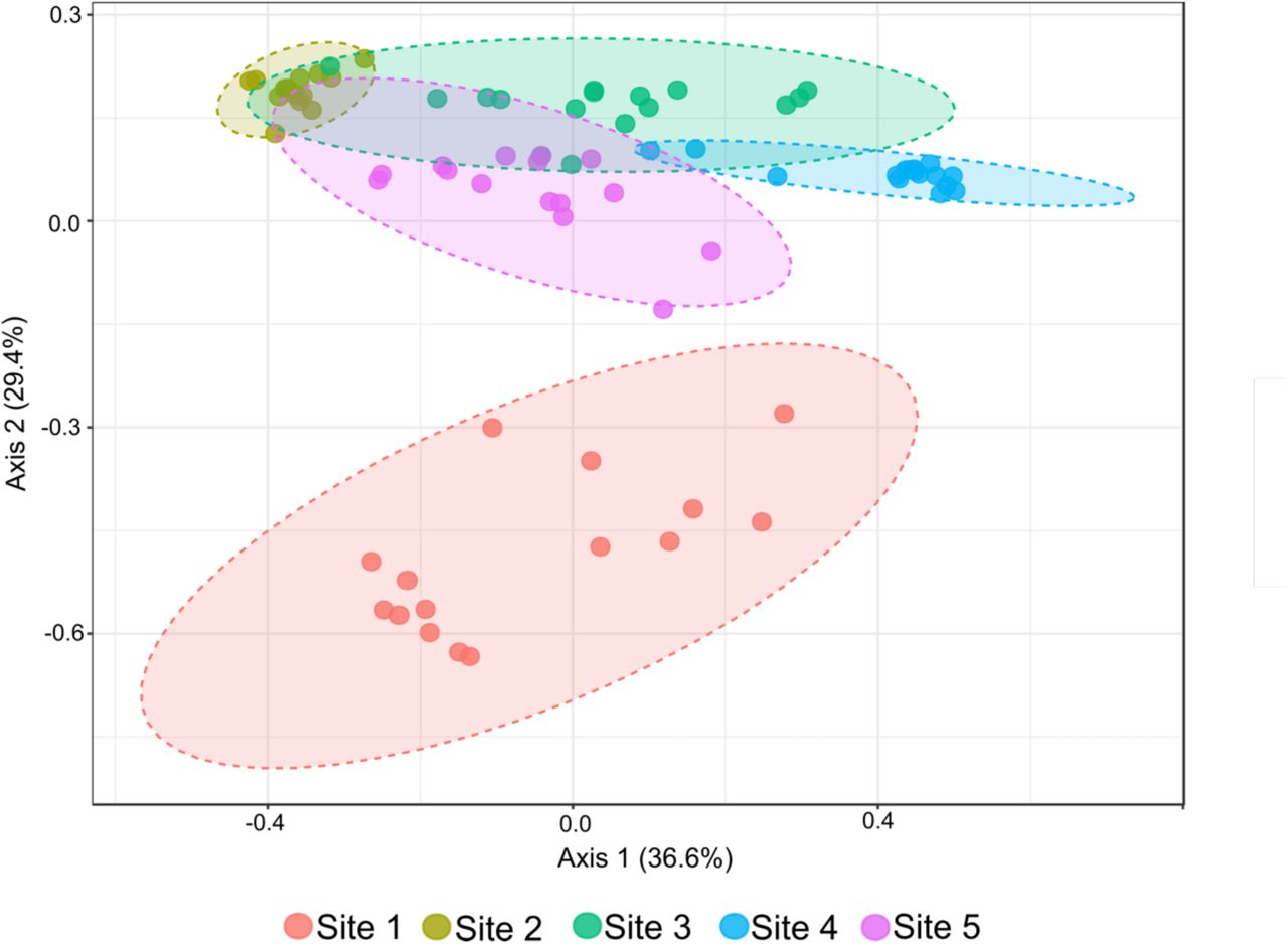 Universal 16s Rrna V3 V4 Region Primers | Illumina Inc | Bioz