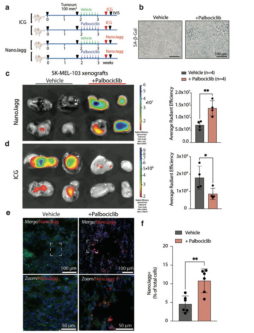 Ivis Spectrum Imaging System | PerkinElmer | Bioz