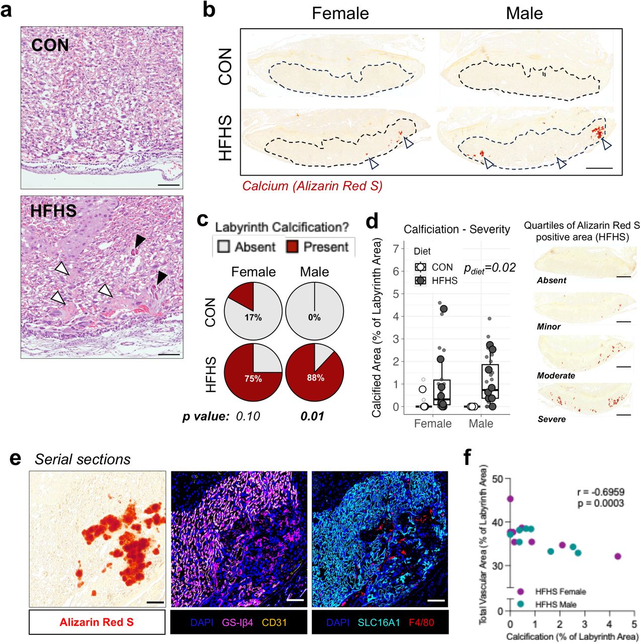 Labyrinth Zone | Hamamatsu | Bioz