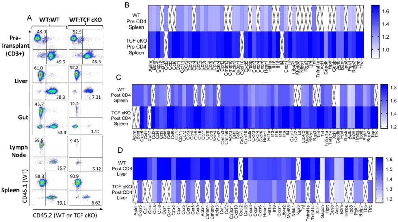 Allotransplanted Balb C Mice | Thermo Fisher | Bioz