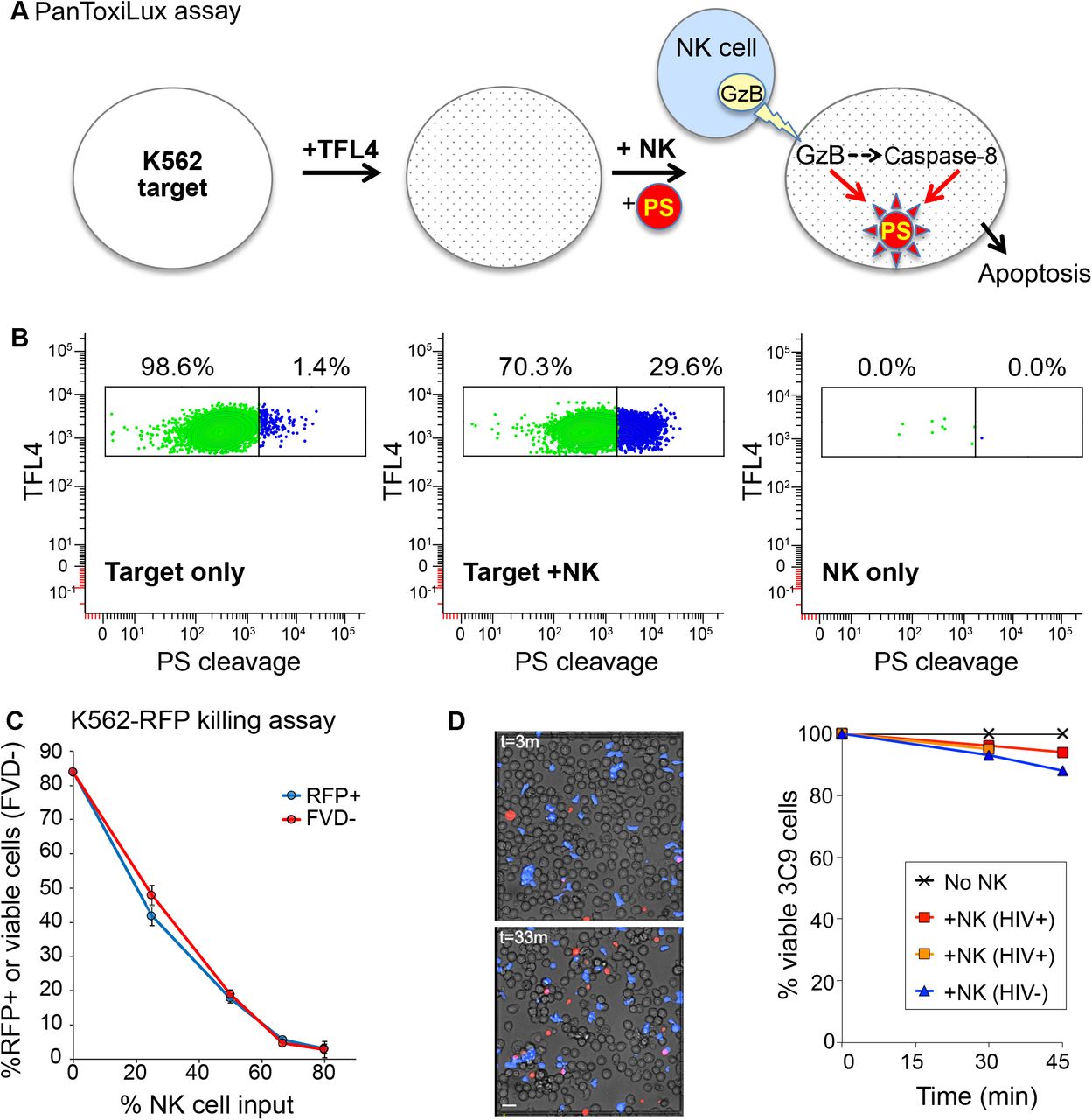 Sytox Orange Dead Cell Stain | Thermo Fisher | Bioz