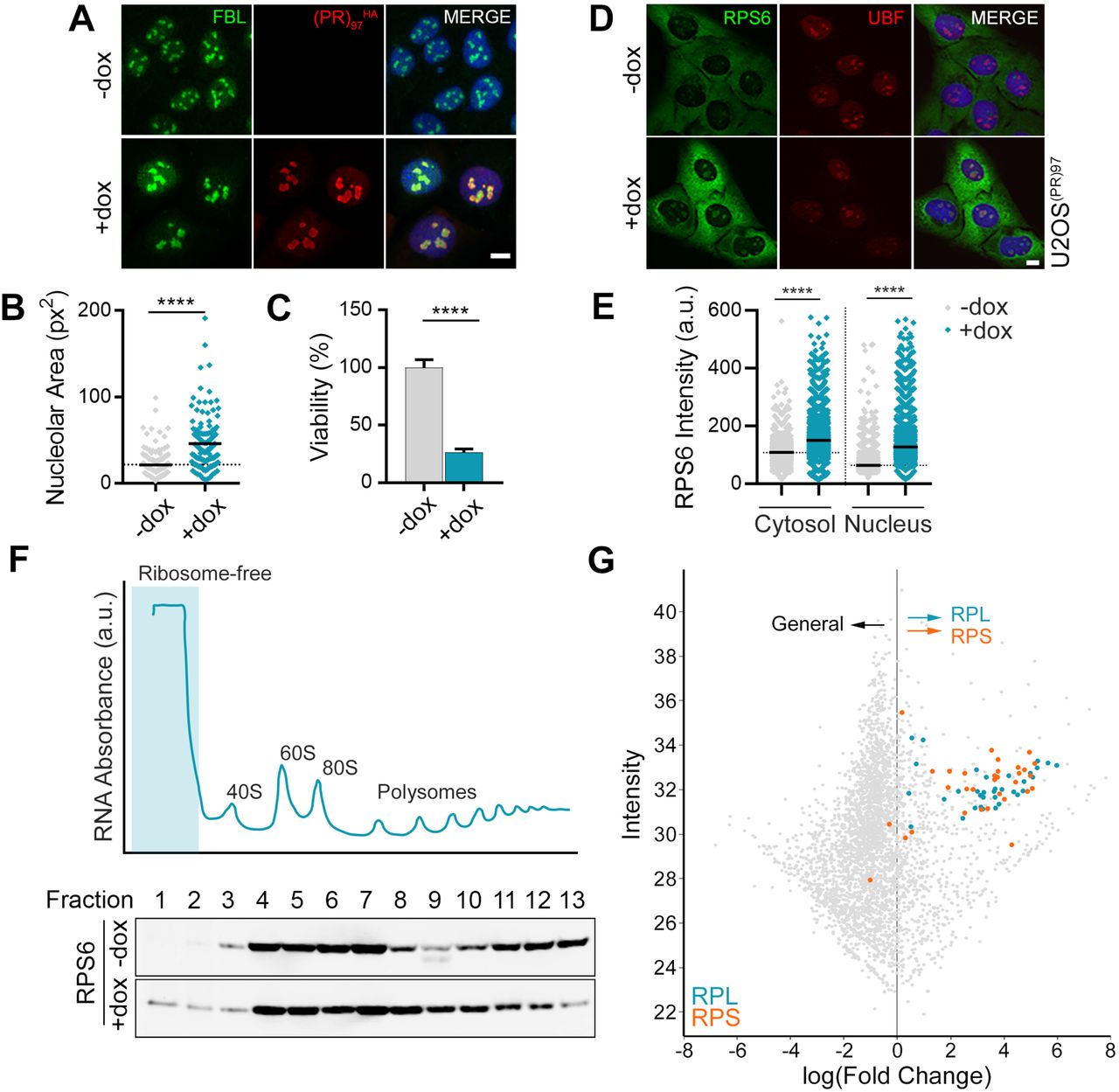 U2os Cells | Horizon Discovery | Bioz