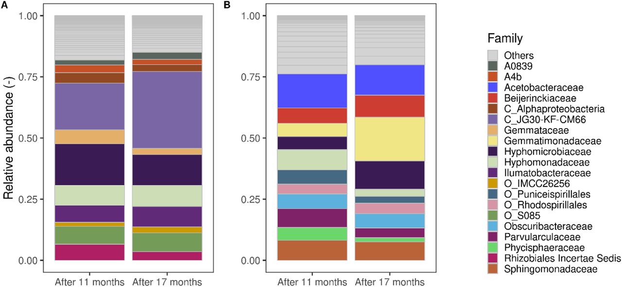 Filmtracer Sypro Ruby Biofilm Stain | Thermo Fisher | Bioz