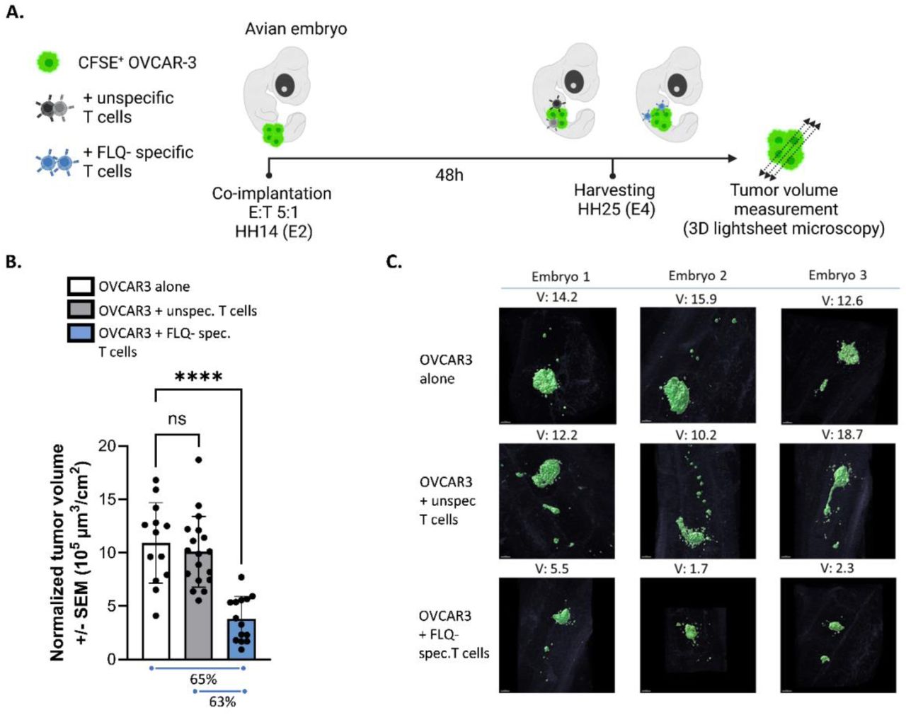Ovcar3 | ATCC | Bioz