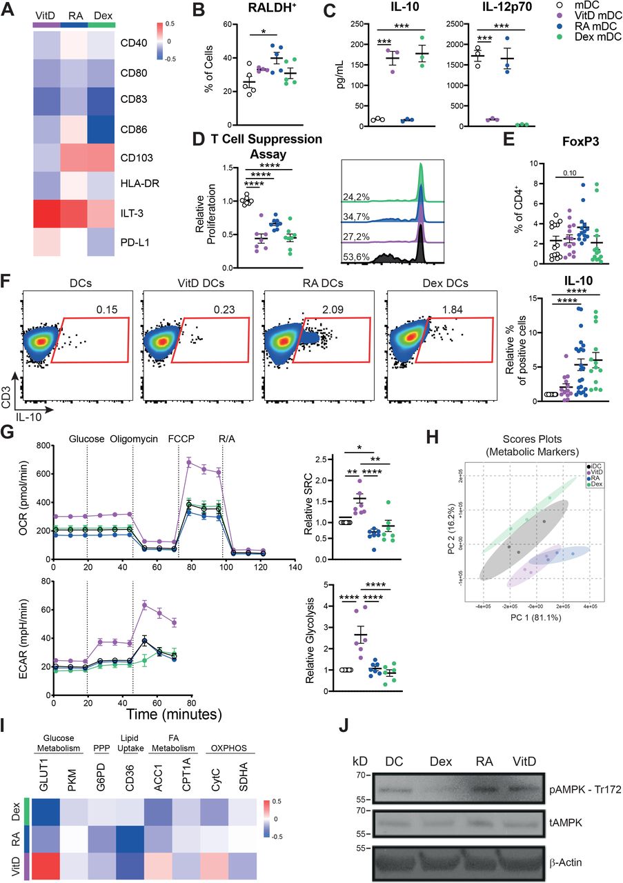 Cd14 Macs Beads | Miltenyi Biotec | Bioz