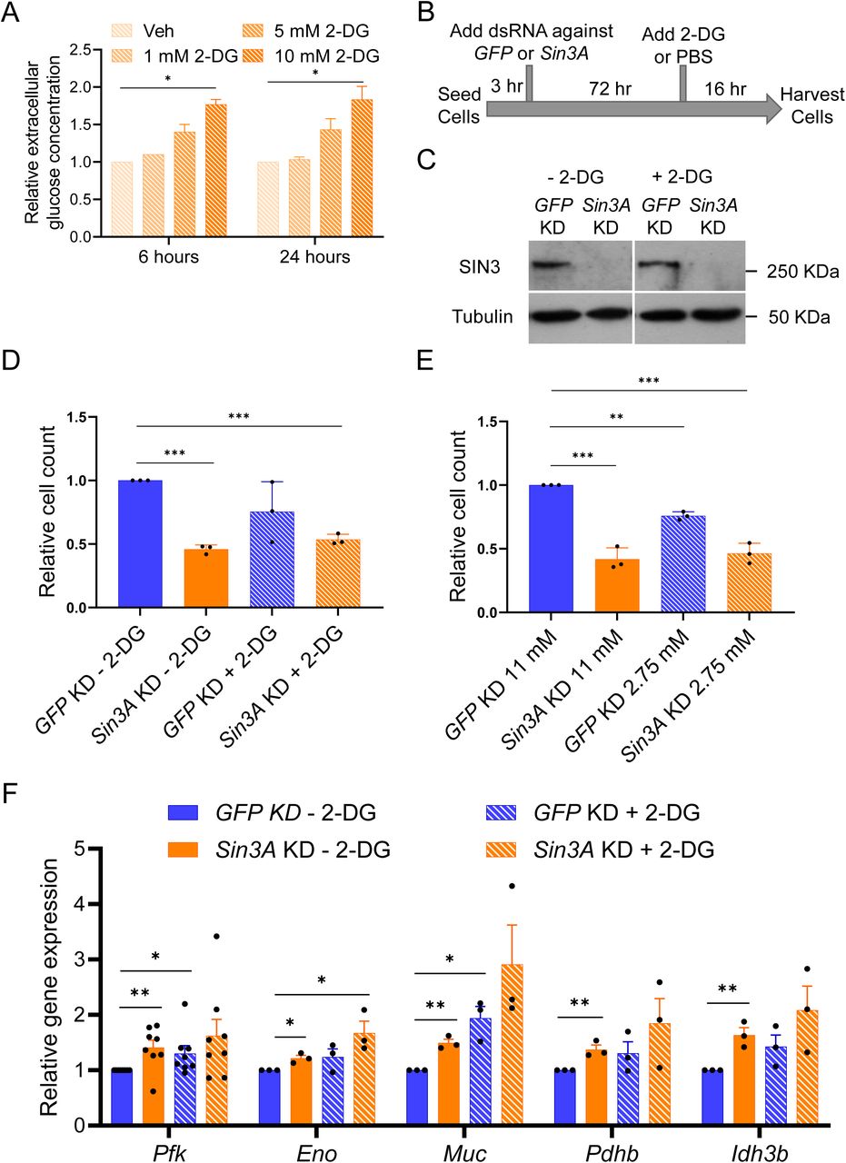 Drosophila S2 Cells | Atcc | Bioz