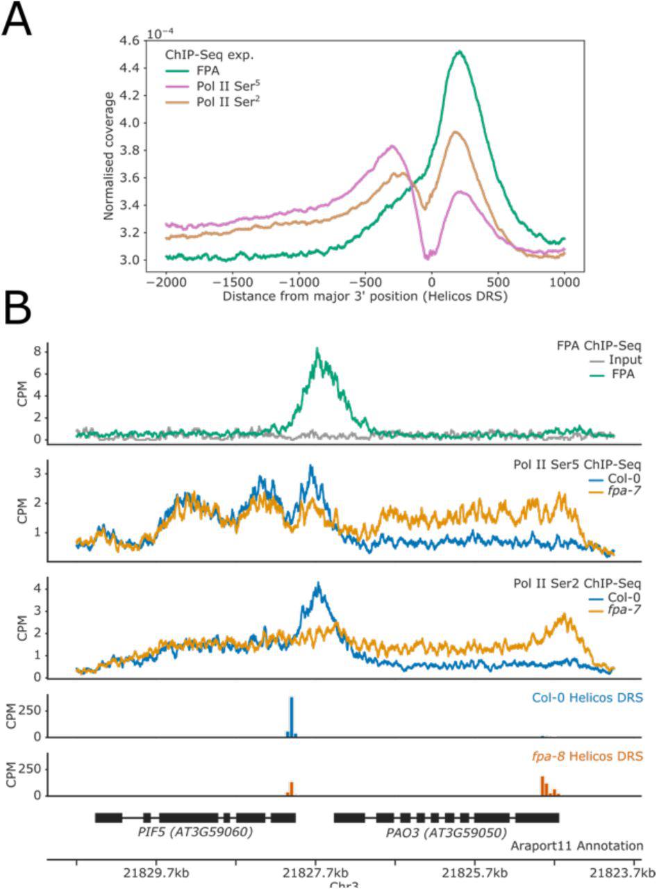 Nanopore Drs Libraries Prepared | Oxford Nanopore | Bioz