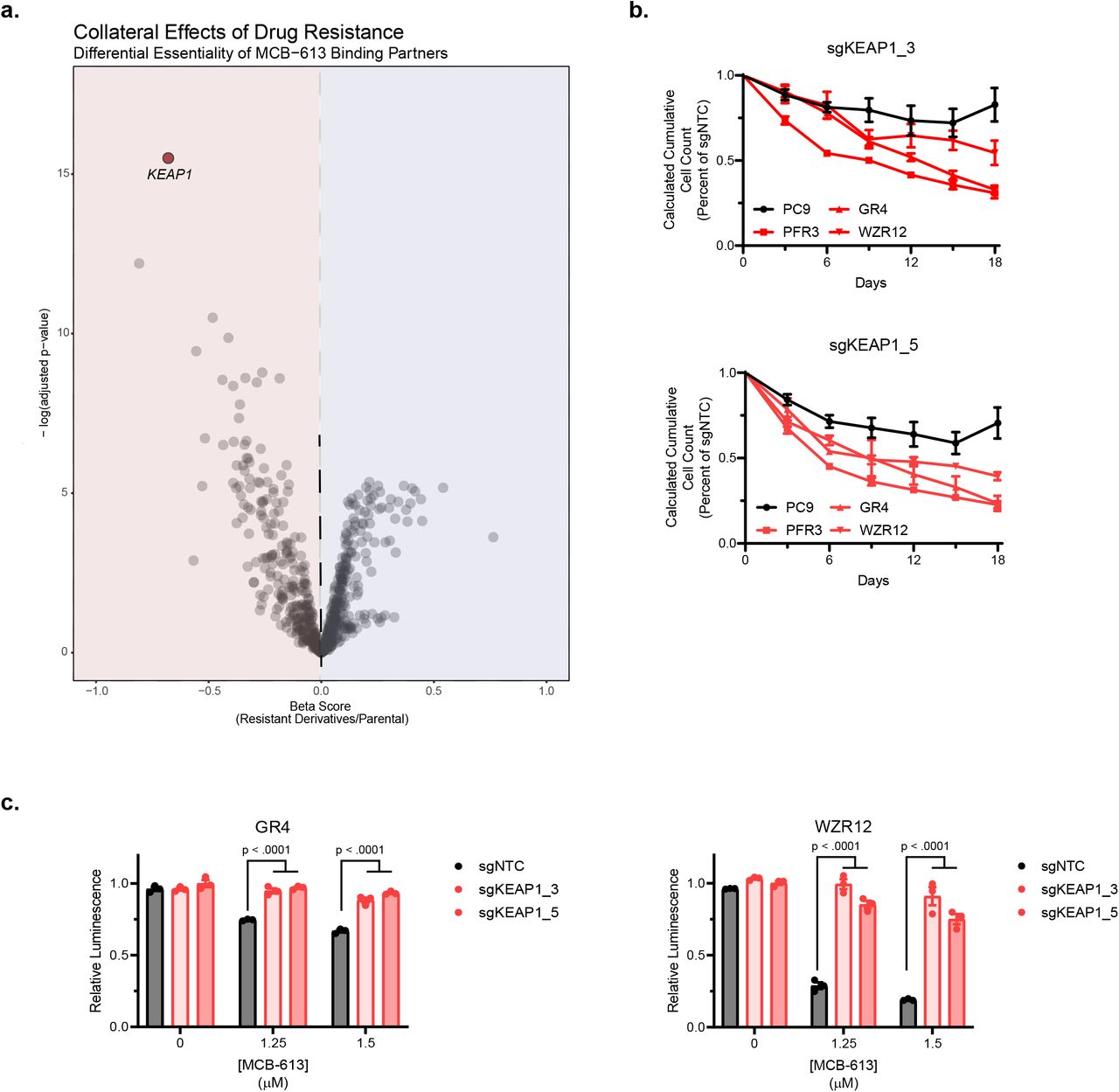 Pet28a Vector | New England Biolabs | Bioz