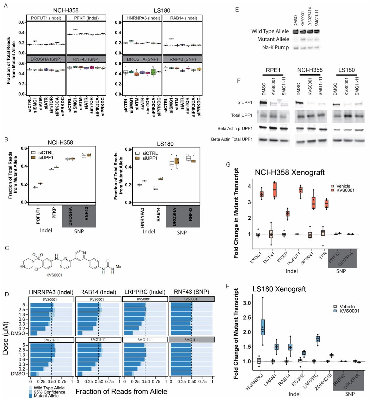Ls180 Cells | ATCC | Bioz