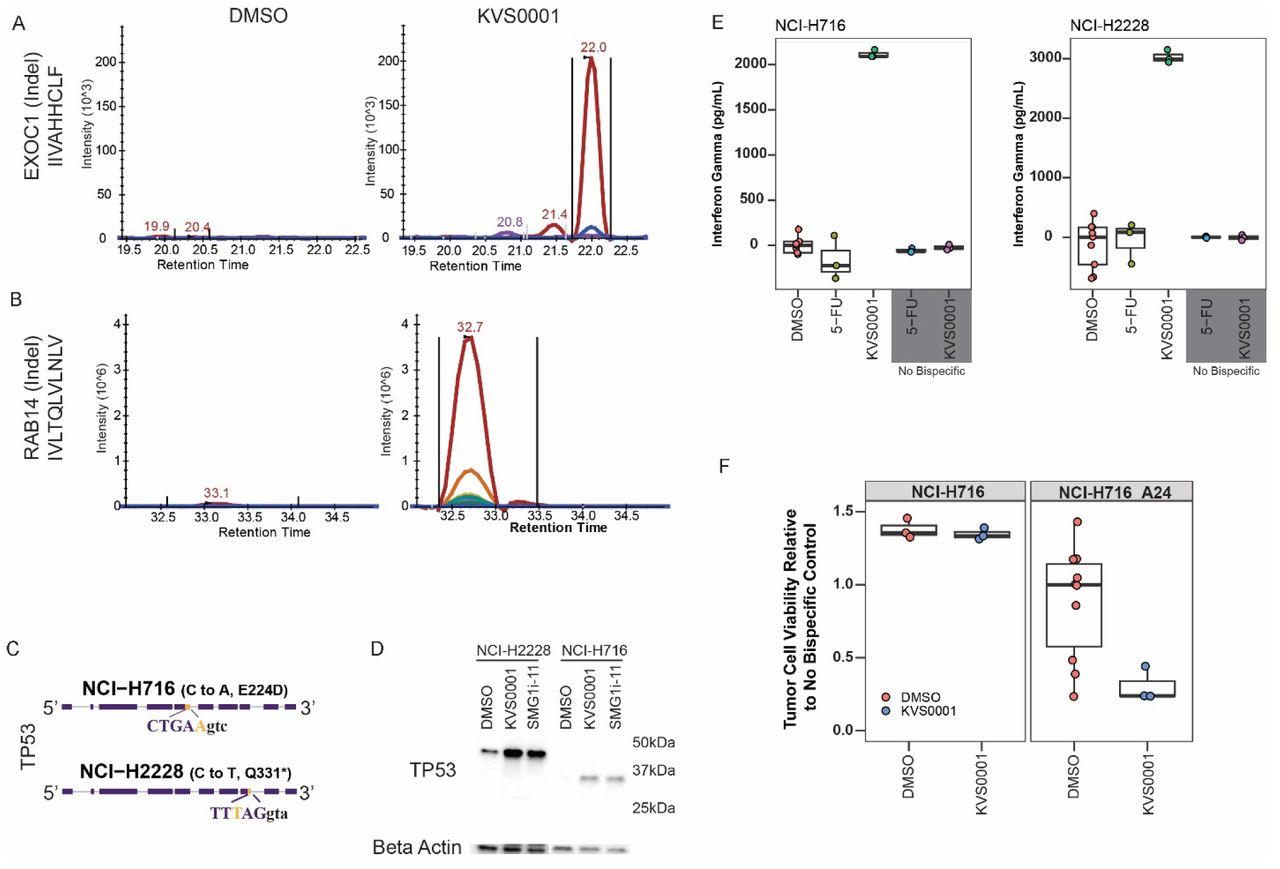 Ls180 Cells | ATCC | Bioz
