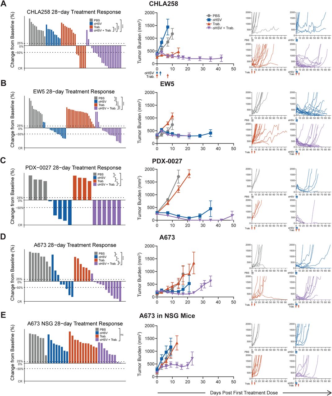 Ewing Sarcoma Cell Lines A673 | ATCC | Bioz
