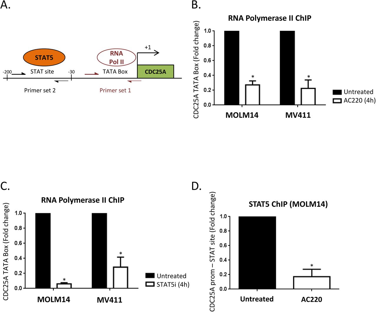 Human Acute Myeloid Leukemia Cell Lines Molm 14 | DSMZ | Bioz
