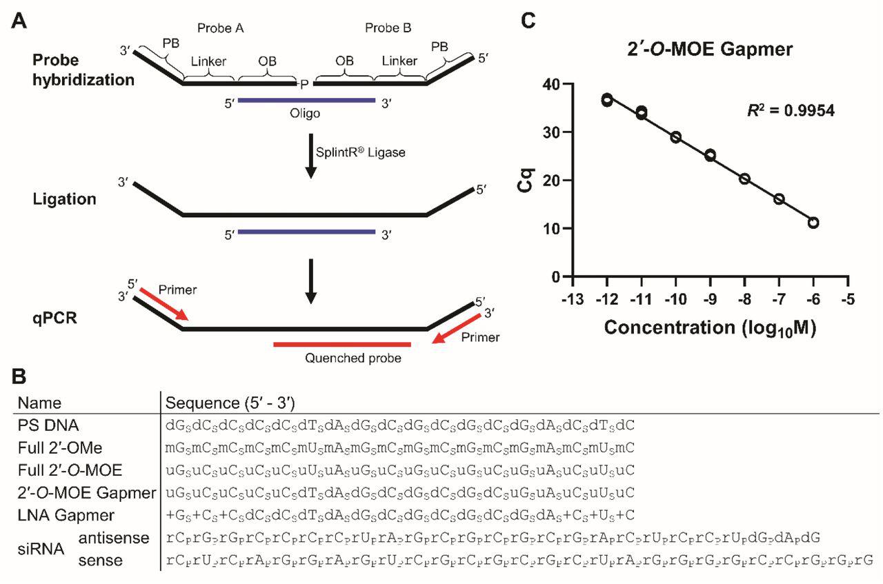 Splintr Dna Ligase New England Biolabs Bioz