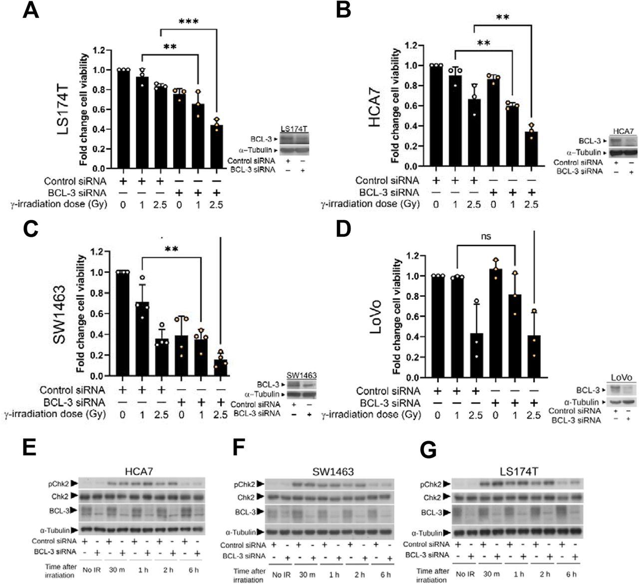 Colon Carcinoma Derived Cell Lines Ls174t | ATCC | Bioz
