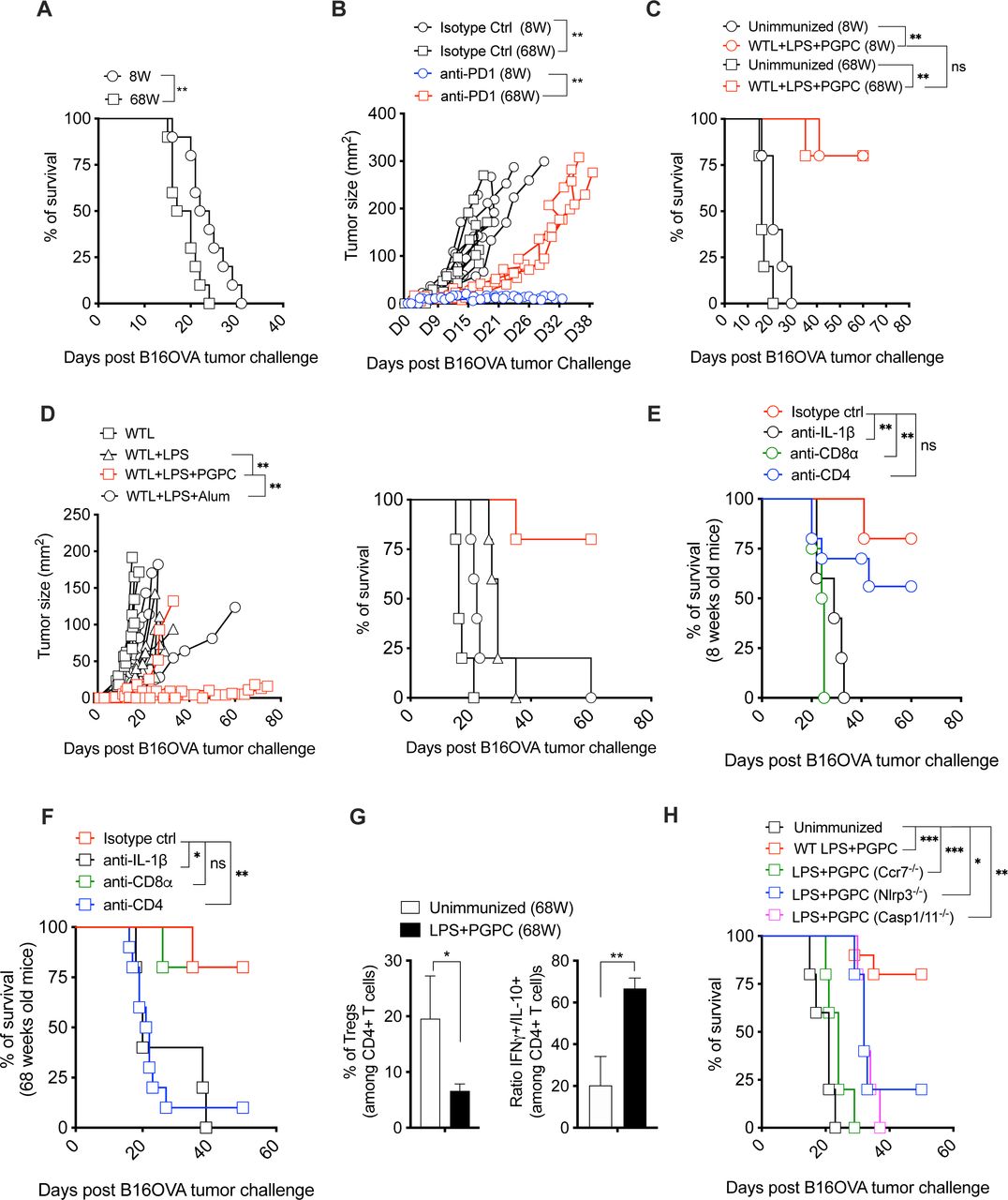Anti Mouse Cd4 Microbeads | Miltenyi Biotec | Bioz