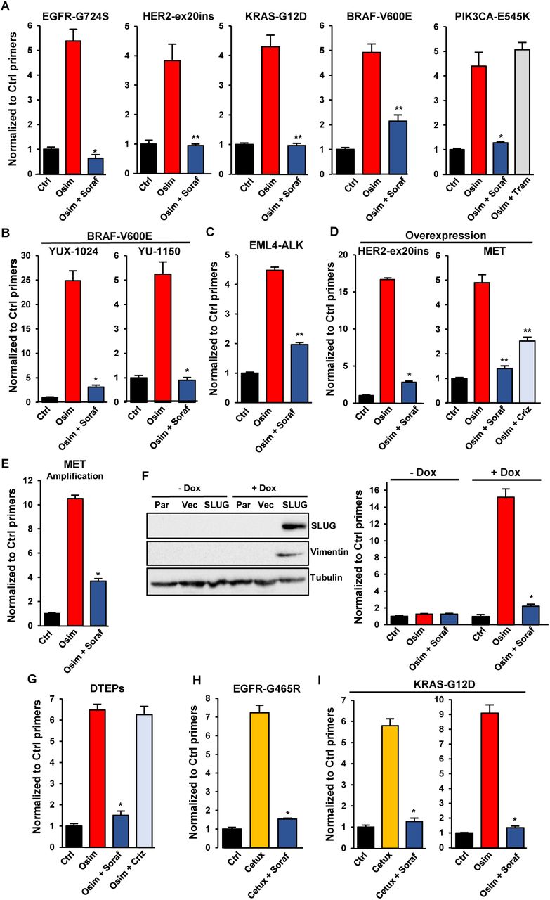 Pc9 Cells | ATCC | Bioz