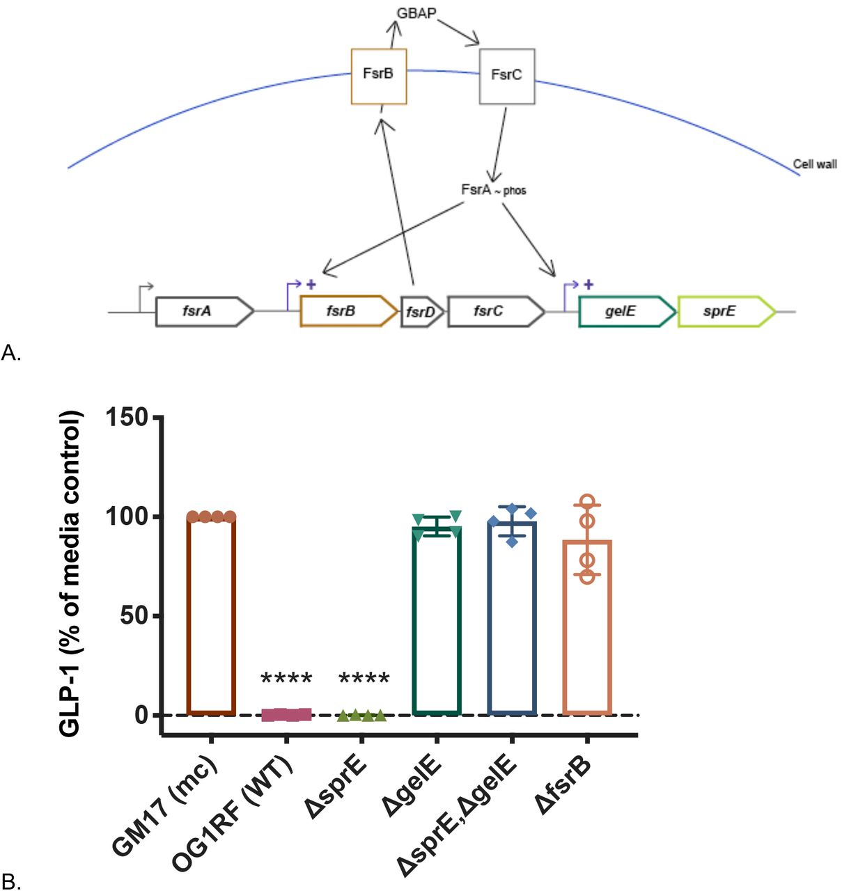 500 Pm Glp 1 | GenScript corporation | Bioz