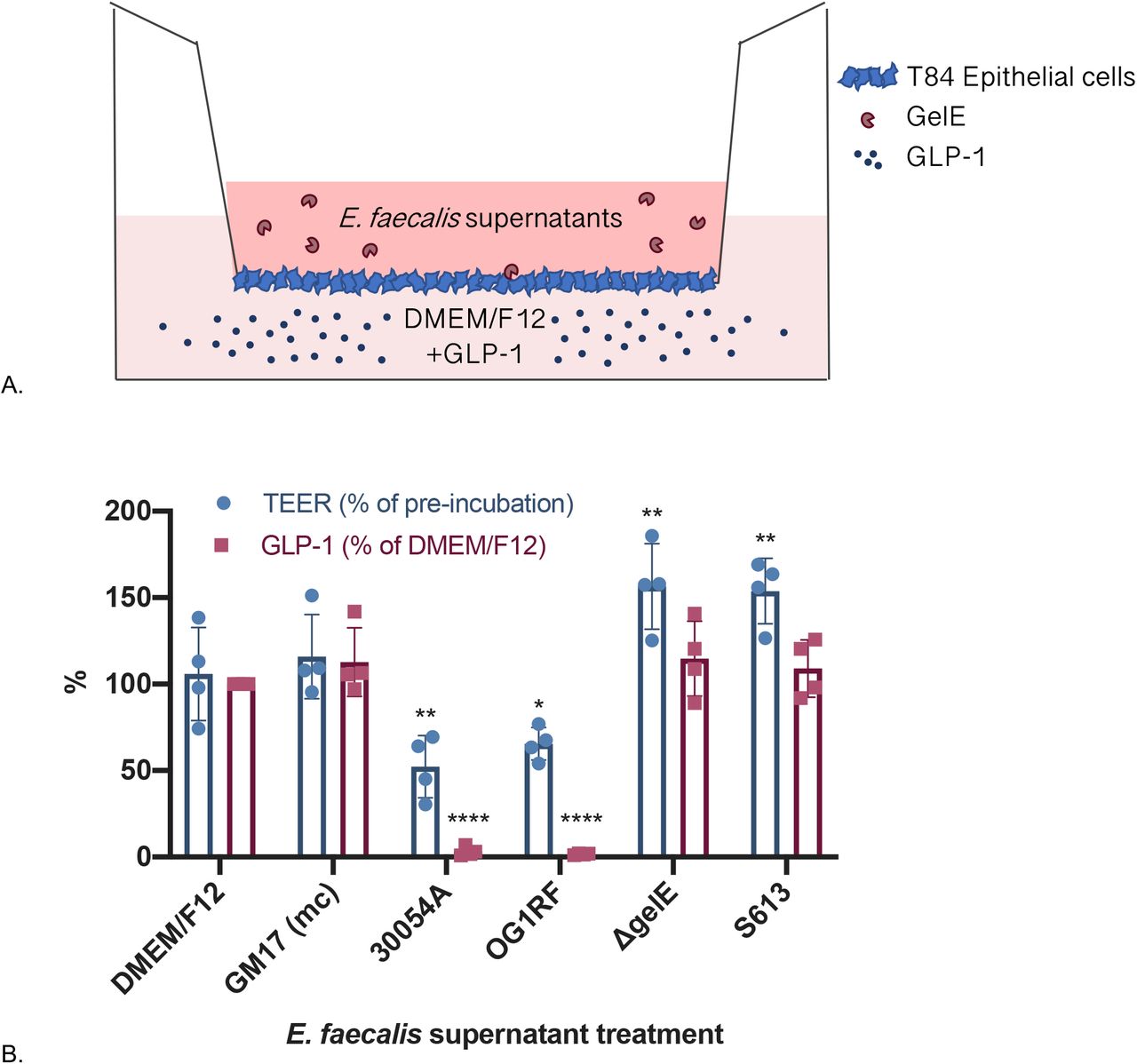 500 Pm Glp 1 | GenScript corporation | Bioz