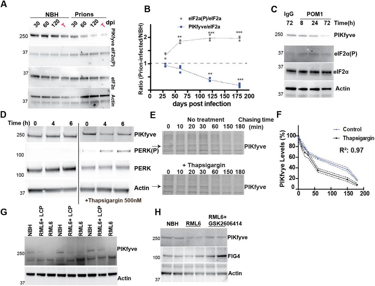 Rml Prion Inoculation | rocky mountain labs | Bioz