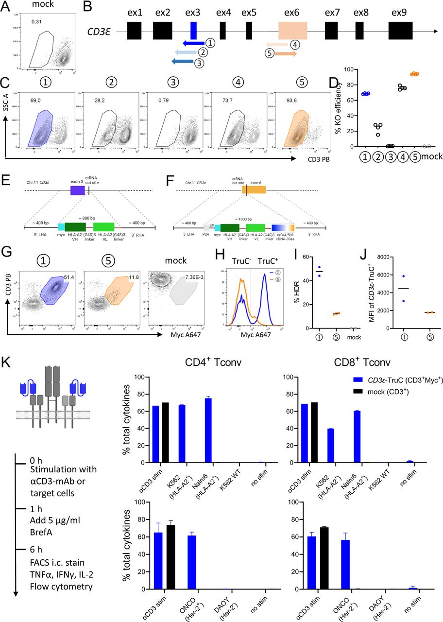 Human Cd3 Microbeads | Miltenyi Biotec | Bioz