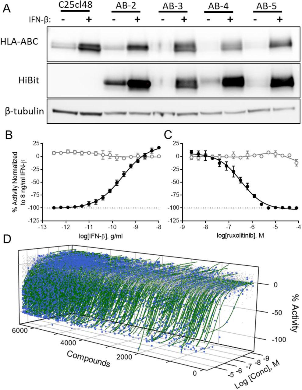 C25cl48 Cells Reaction | Lonza | Bioz