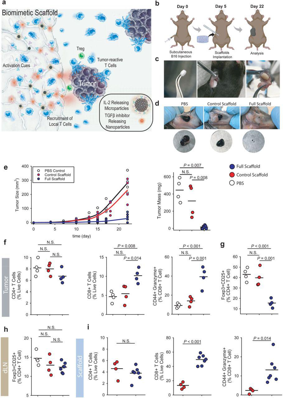 Soluble Anti Mouse Cd28 | Bio X Cell | Bioz