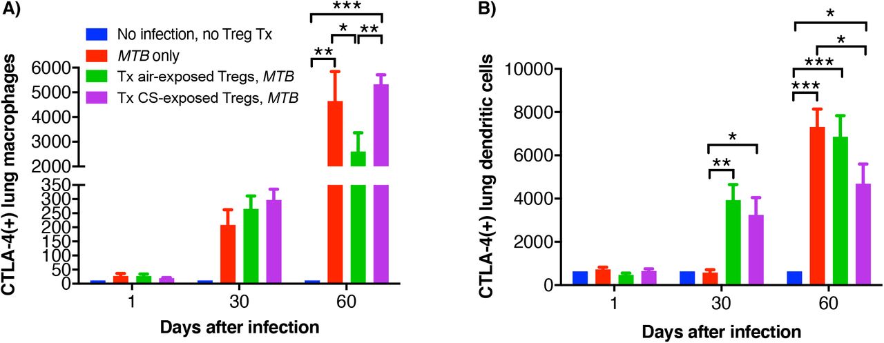 Foxp3 Gfp Dtr Thy1 2 Mice | The Jackson Laboratory | Bioz