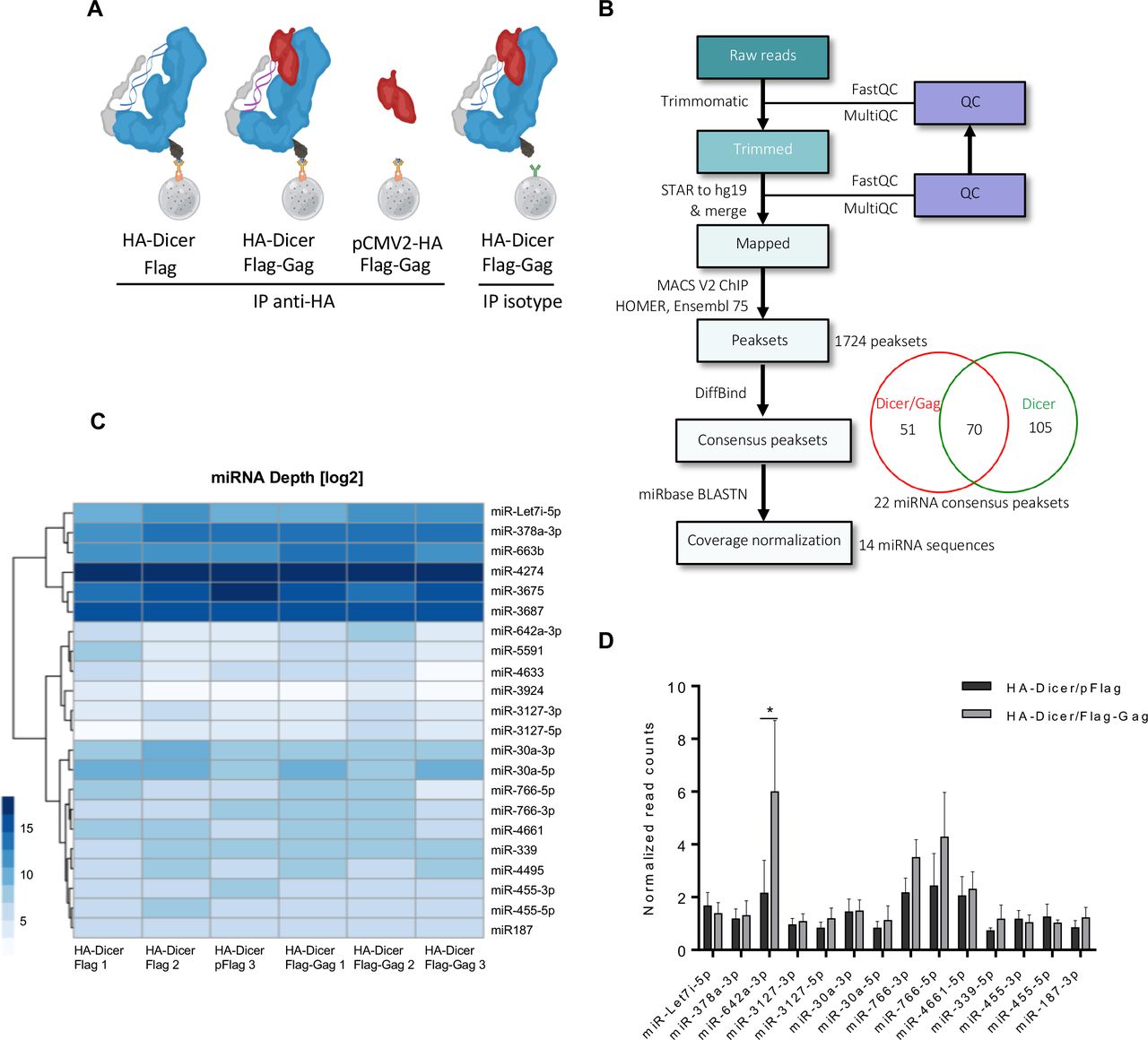 Adherent Hek 293t Cells | ATCC | Bioz