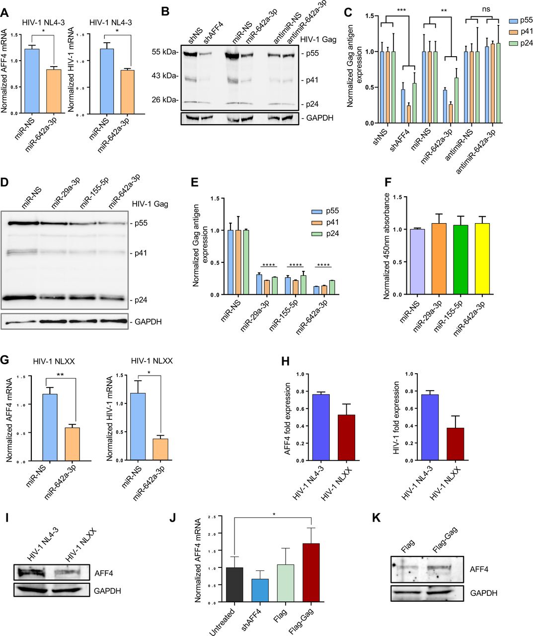 Adherent Hek 293t Cells | ATCC | Bioz