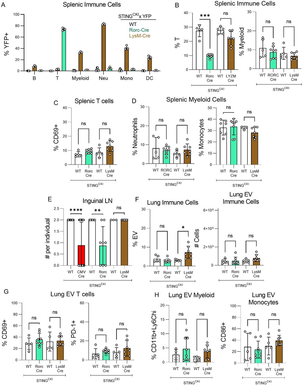 Rorc | The Jackson Laboratory | Bioz