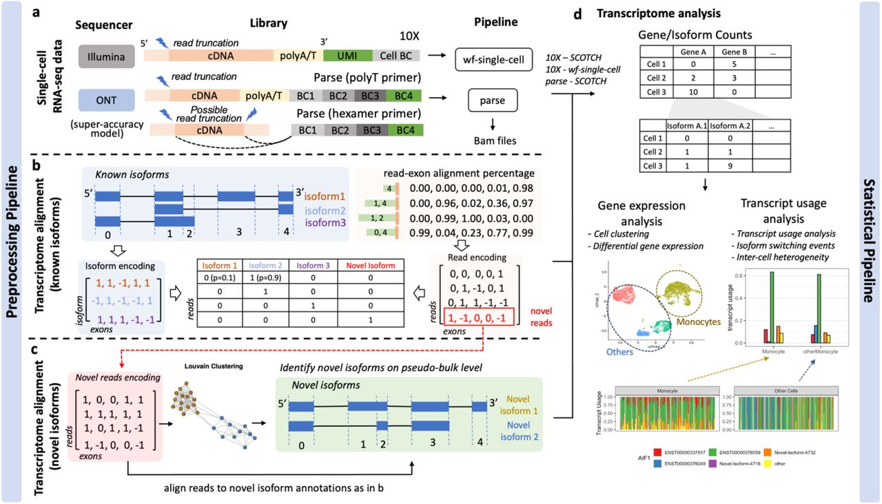 Human Pbmc | 10X Genomics | Bioz