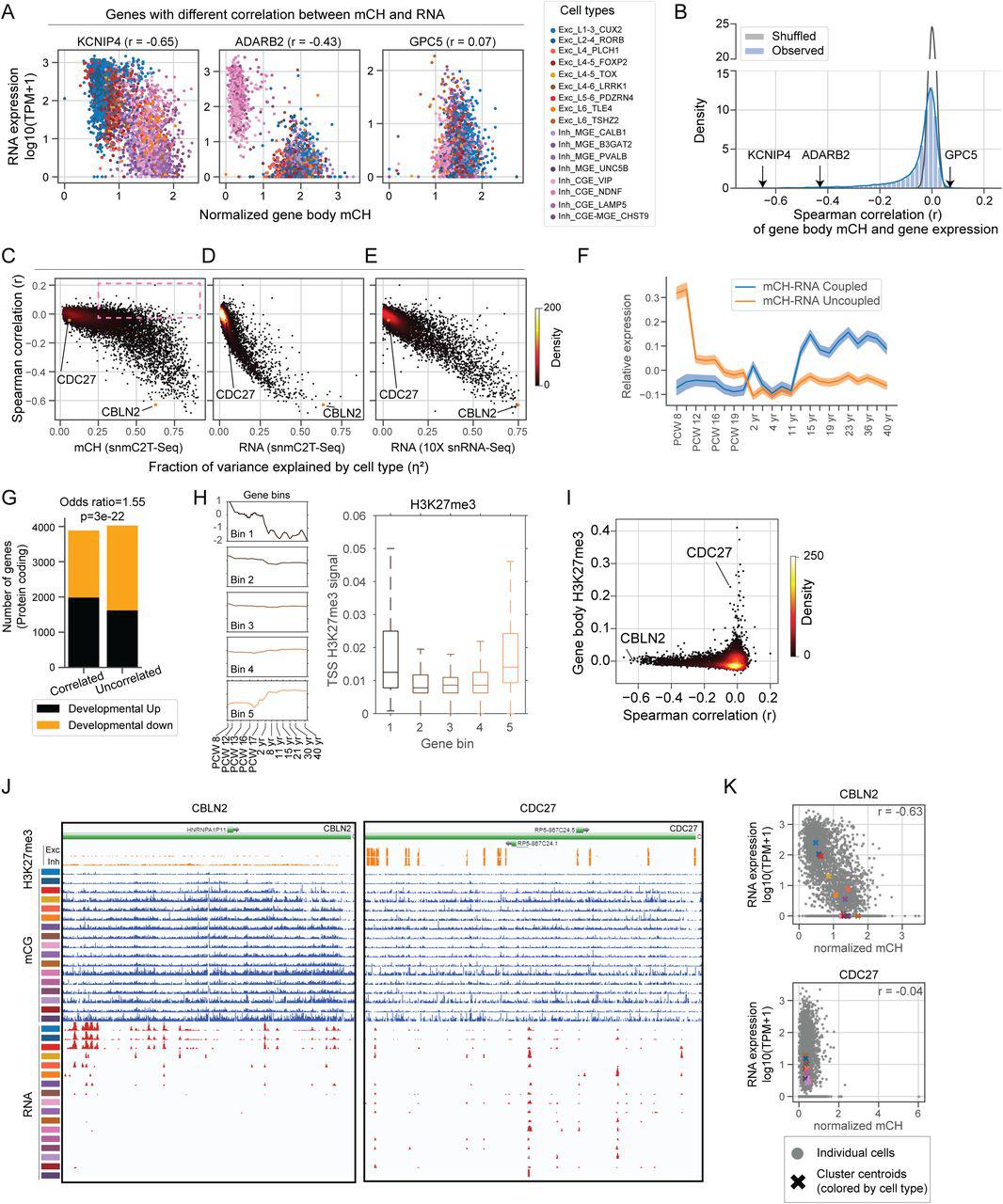 Oligo Dt30vn Primer | Thermo Fisher | Bioz