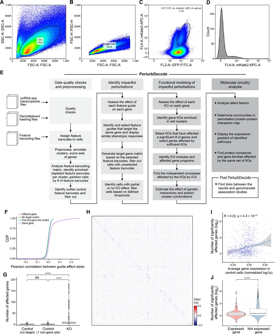 Lentiguide Puro Vector | Addgene inc | Bioz