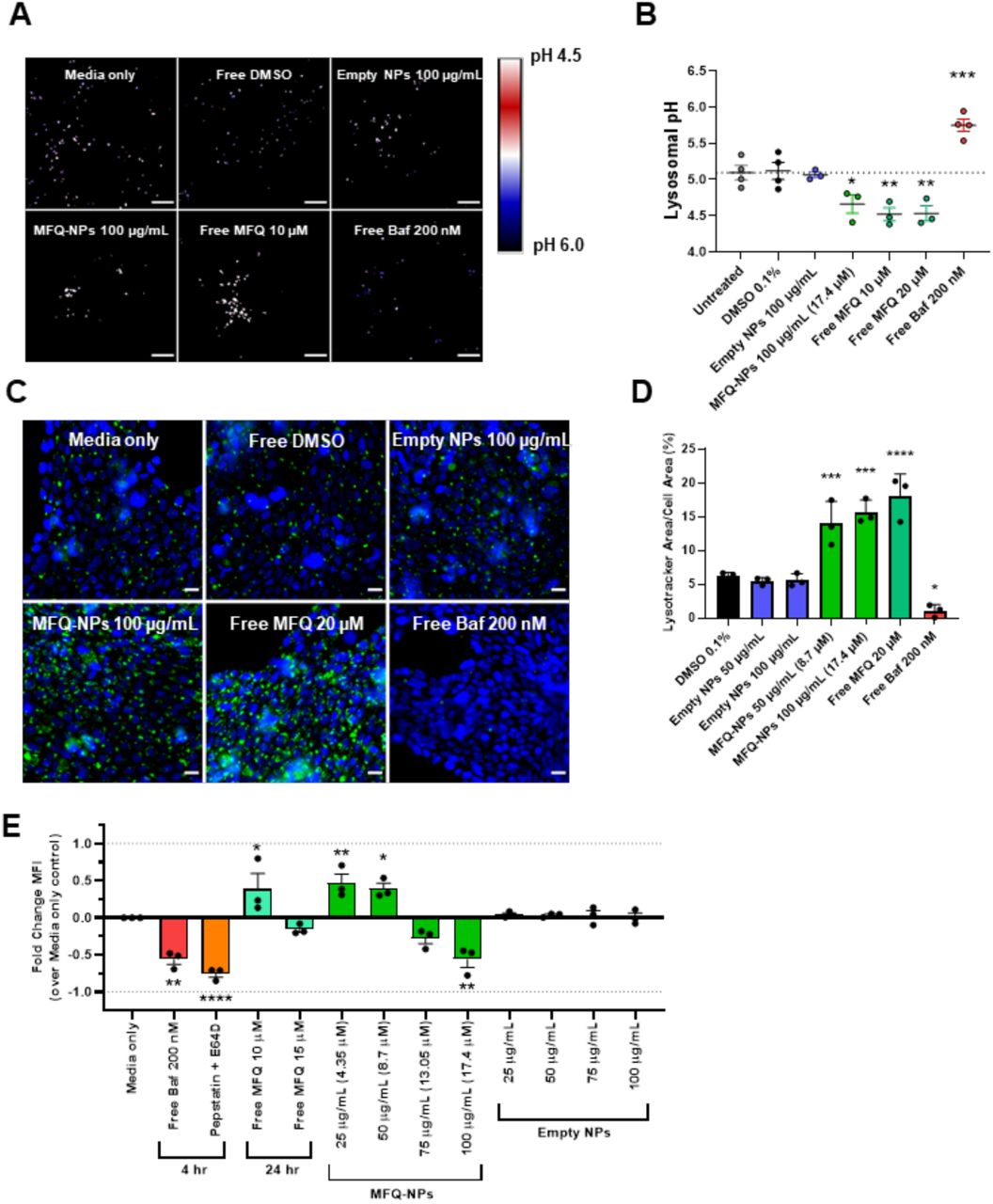 Dq Red Bsa | Thermo Fisher | Bioz