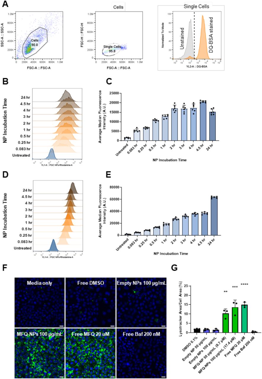 Dq Red Bsa Assay | Thermo Fisher | Bioz