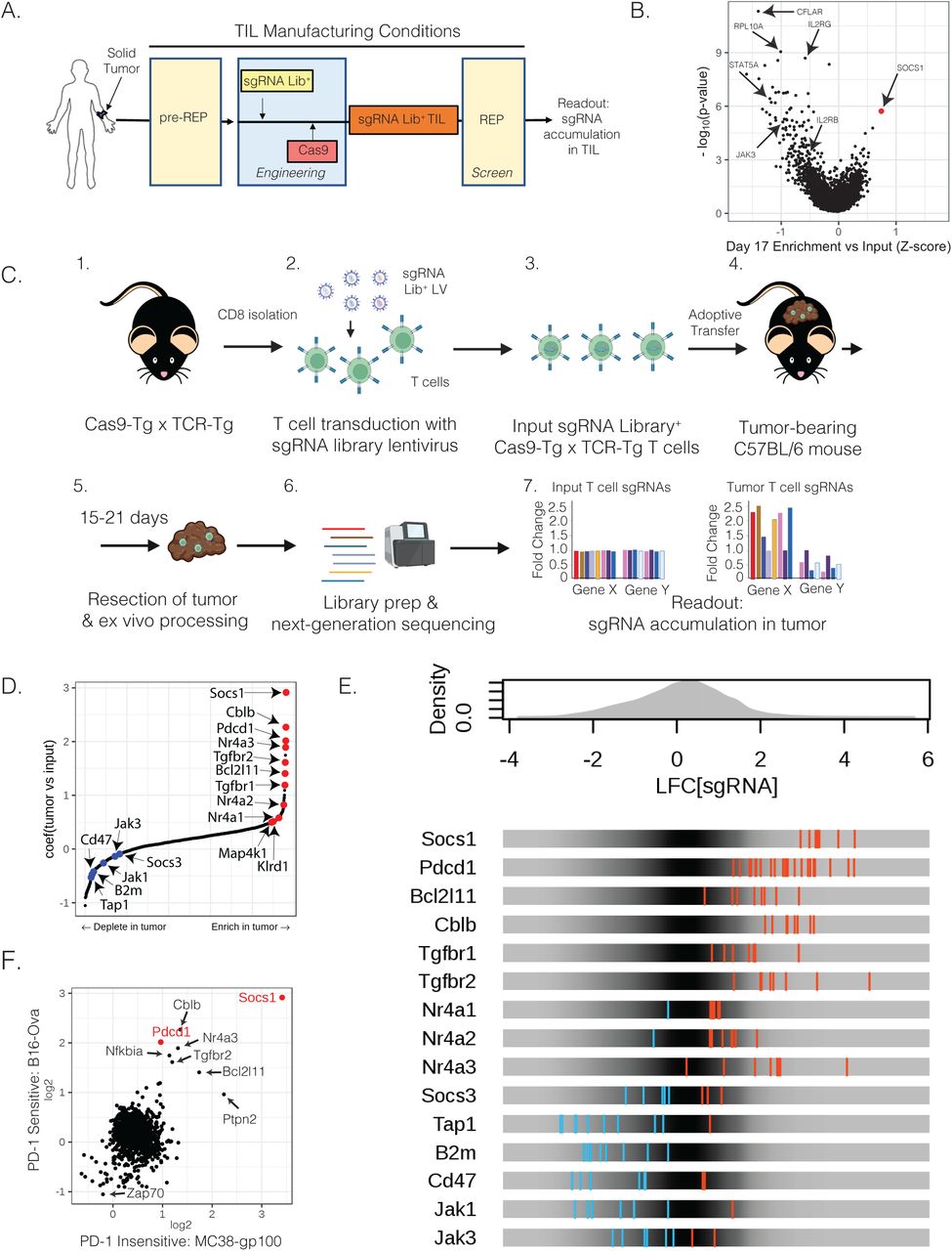 Recombinant Human Il2 | PeproTech | Bioz
