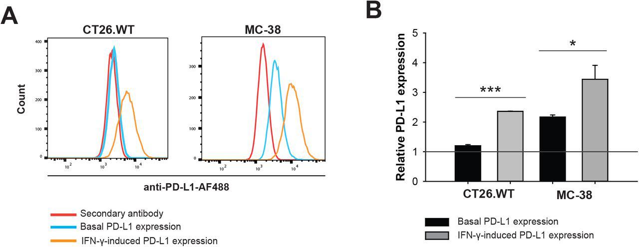 Mc38 Murine Colon Cancer Cell Line | KeraFAST | Bioz